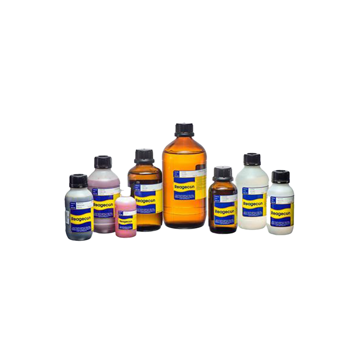 Standards – Sercolab